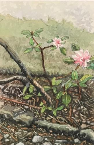 Andy Smith Watercolor Artist